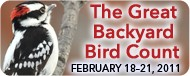 The Great Backyard Bird Count